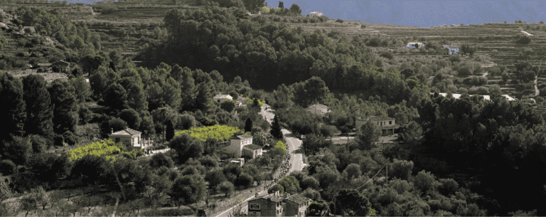 Guía del Coll de Rates: el puerto imprescindible de Alicante | CLC